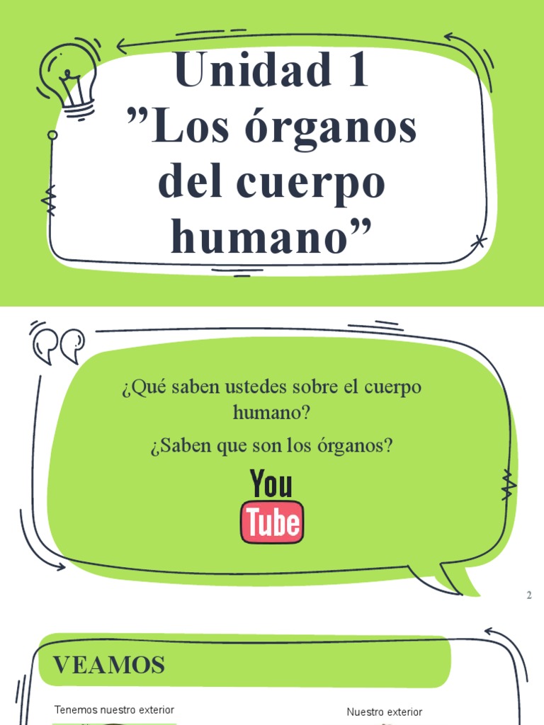 1 Órganos de Cuerpo Humano | PDF | Pulmón | Respiración
