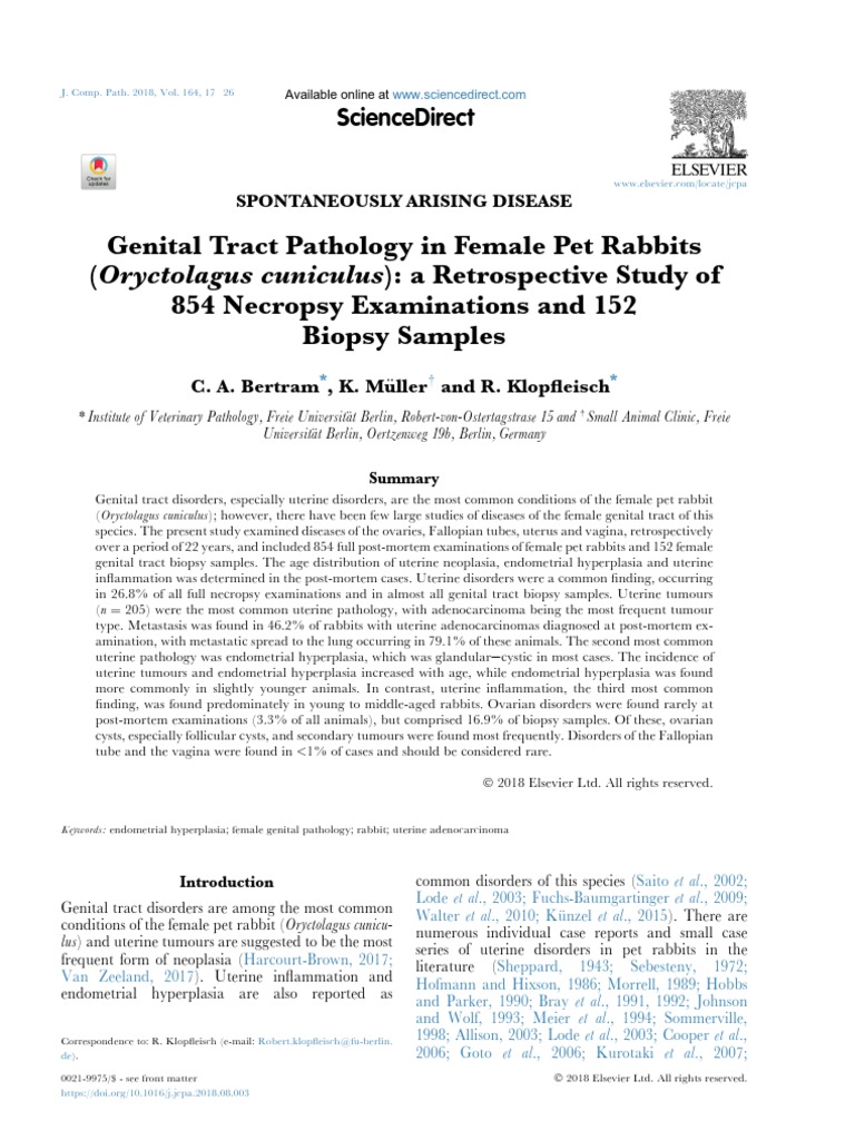 Spontaneously Arising Disease: A Retrospective Study of Pathology in ...