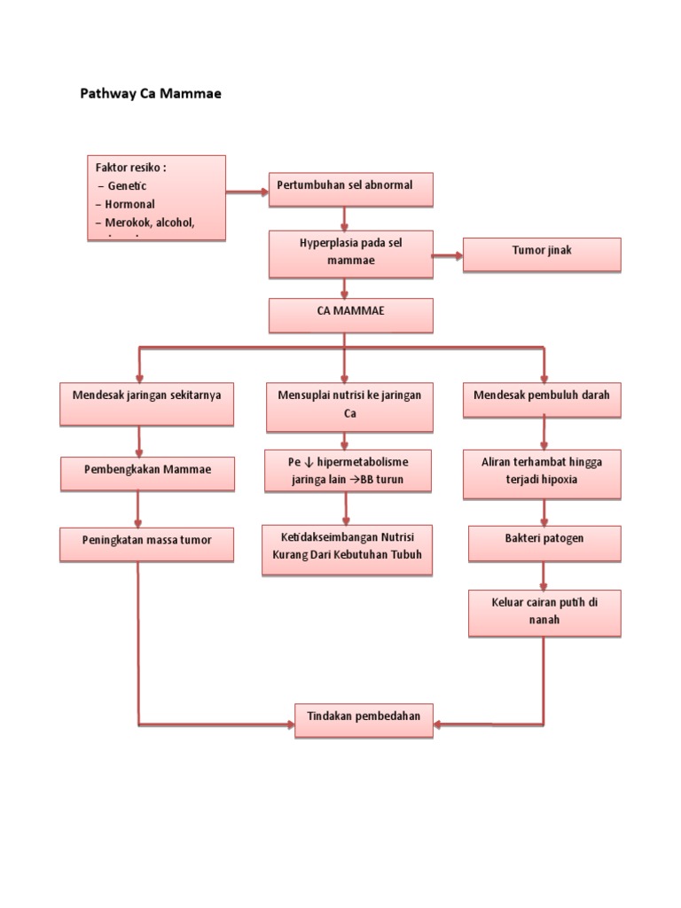 Pathway Ca Mammae | PDF