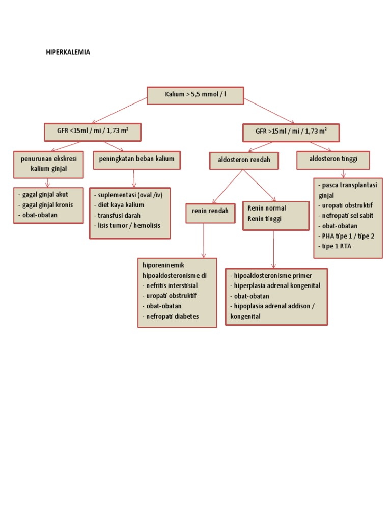 Pathway HIPERKALEMIA | PDF