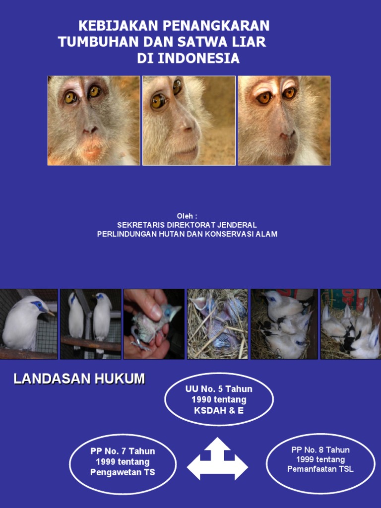 Kebijakan Penangkaran Tumbuhan dan Satwa | PDF