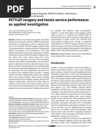 Flow State Scale (FSS) | PDF