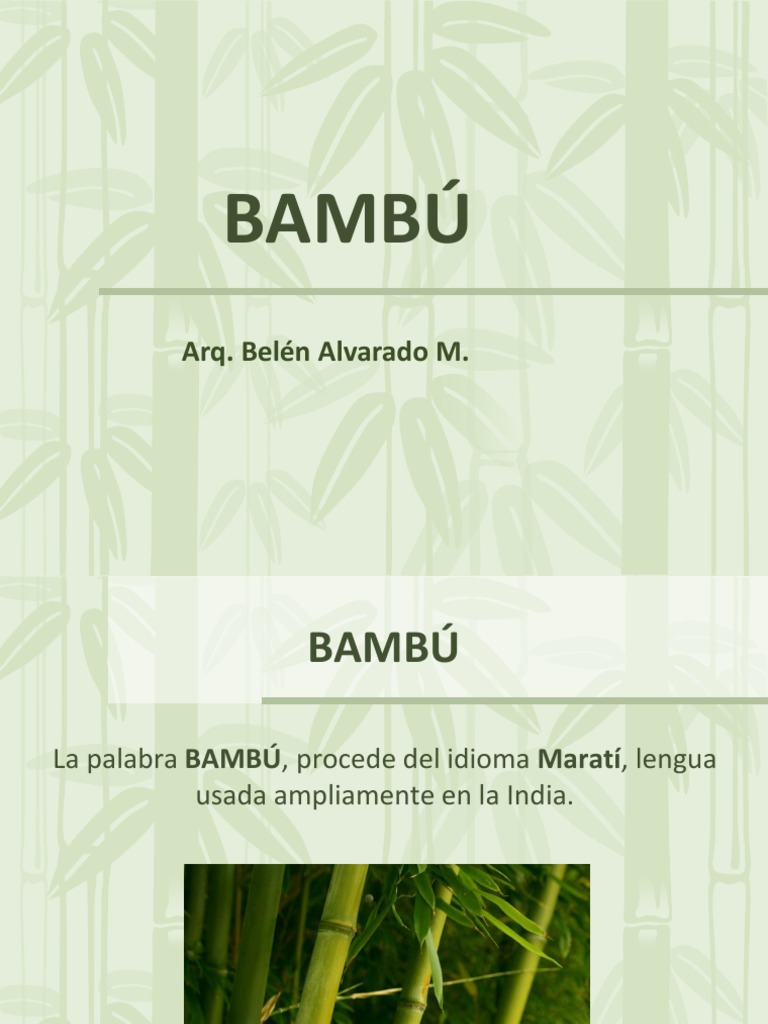 Usos y características del bambú en construcción | PDF | Tallo de la ...