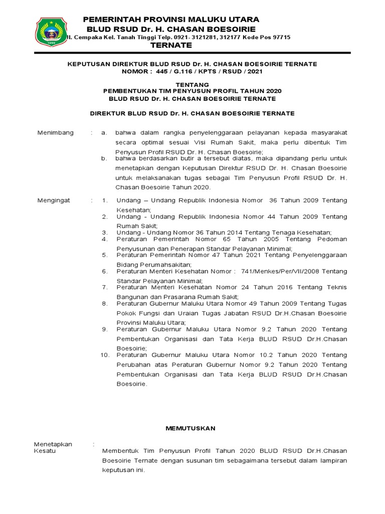 SK Tim Profil 2020 | PDF