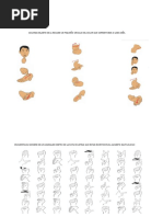 Cuadernillo Numeros LSM | PDF