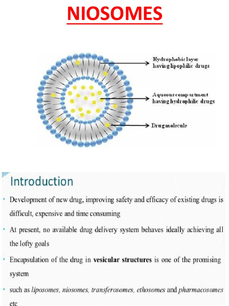 Niosomes | PDF | Surfactant | Pharmaceutical Sciences