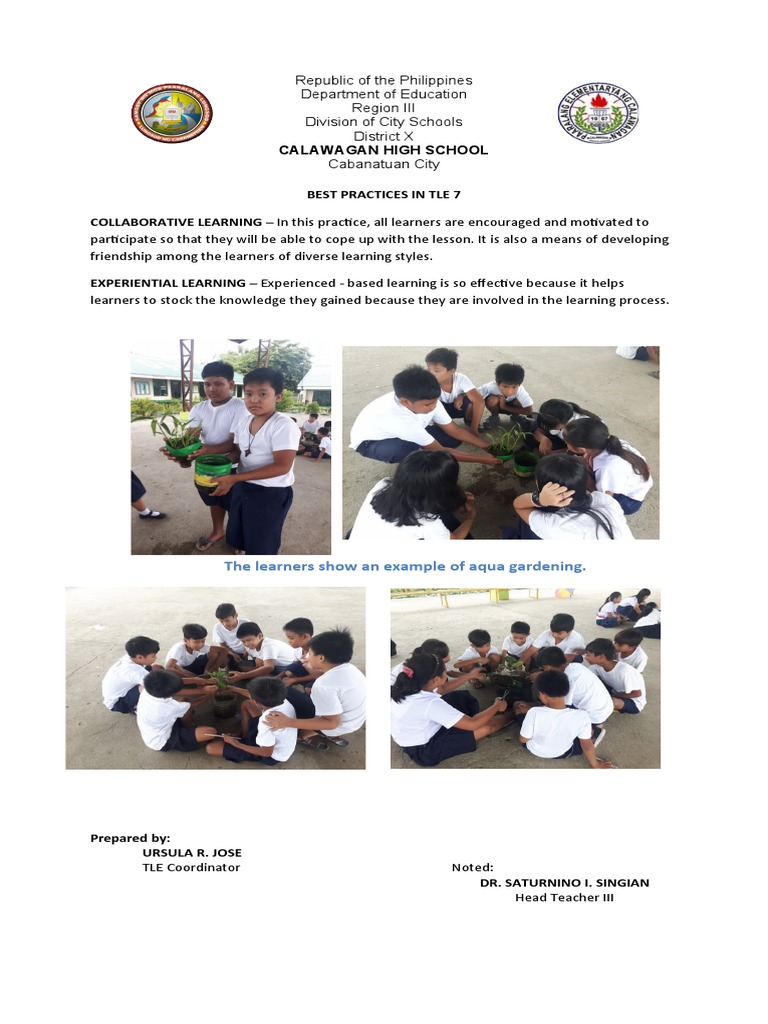 Promoting Experiential and Collaborative Learning in Technical ...