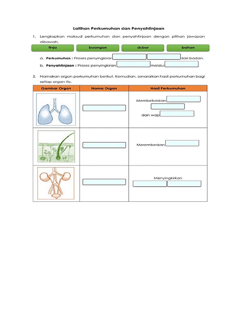 Latihan Perkumuhan Dan Penyahtinjaan Pdf