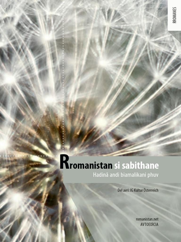 Romanistan Buch Rom Final | PDF