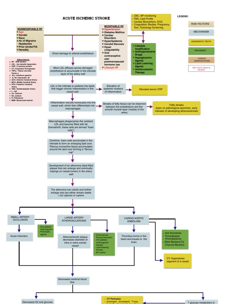 Lipids Concept Map Mcgraw Hill