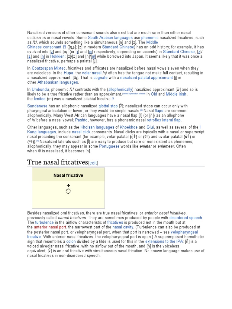 Nasalized Versions of Other Consonant Sounds Also Exist But Are Much ...