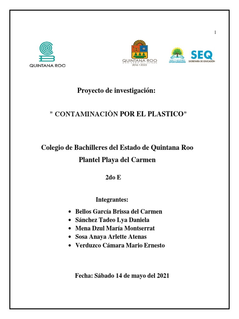 Proyecto de Investigación Contaminación Por El Plástico | PDF ...