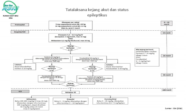 Algoritma Kejang Akut Dan Status Epileptikus | PDF