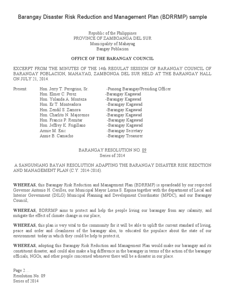 Barangay Disaster Risk Reduction and Management Plan-SAMPLE | PDF ...