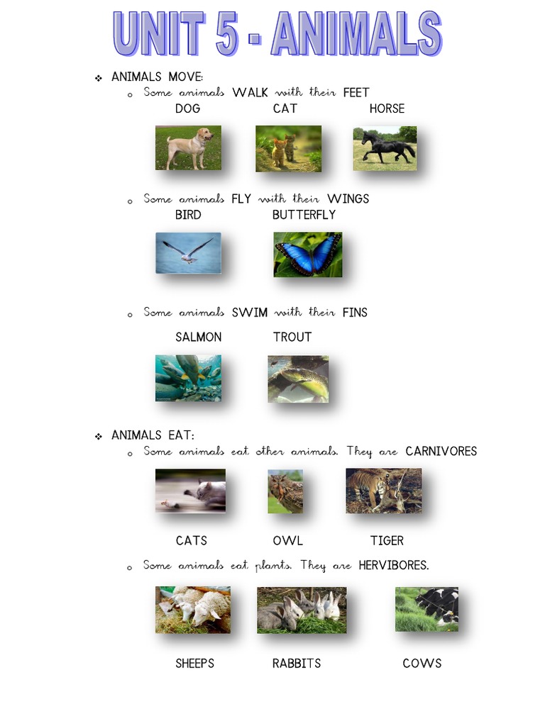 Understanding Oviparous vs. Viviparous Animals | PDF