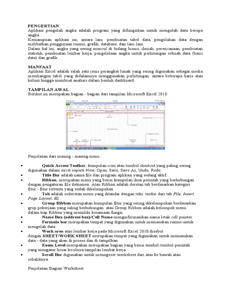 Panduan Dasar Excel 2010 | PDF