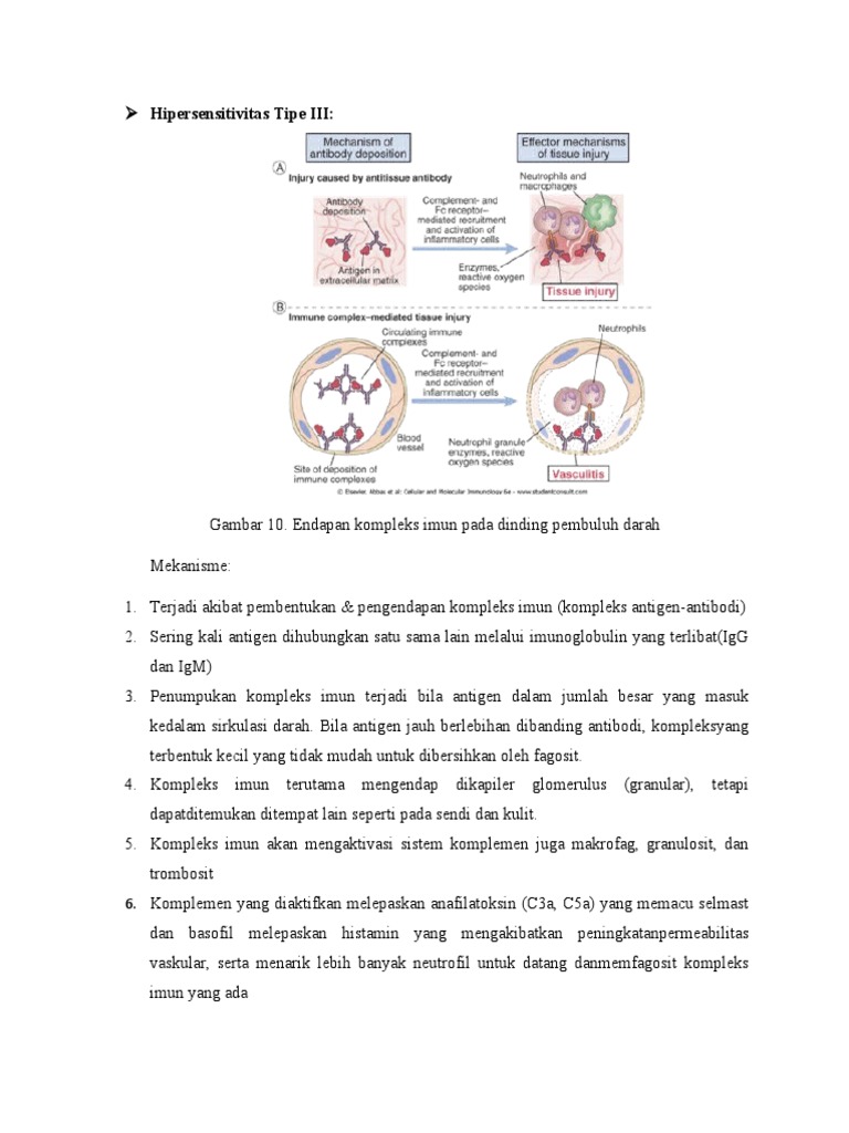 Hipersensitivitas Tipe III | PDF