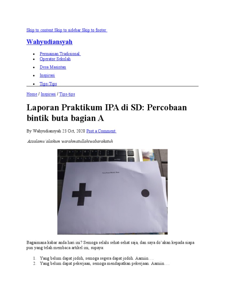 Laporan Bintik Buta | PDF