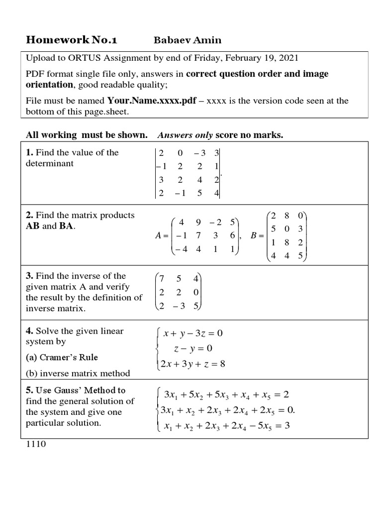 Babaev Amin 1110 | PDF