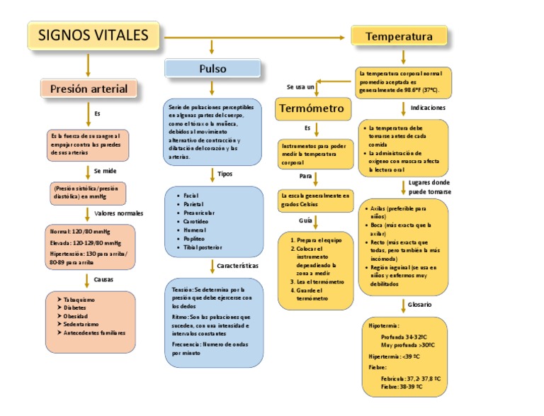 Mapa de Semio Leo | PDF | Presión sanguínea | Fiebre