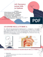 Thorax PA, AP Dan Lateral, RLD Dan LLD | PDF