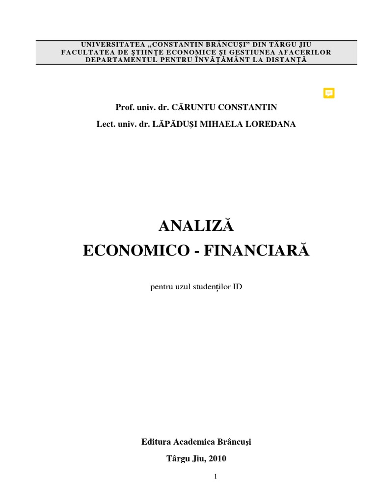Analiza Economica Financiara | PDF