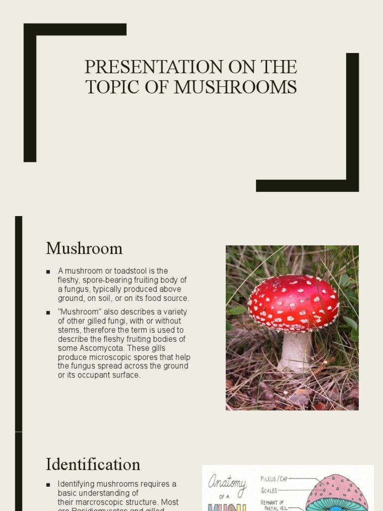 Presentation On The Topic of Mushrooms | PDF | Science & Mathematics