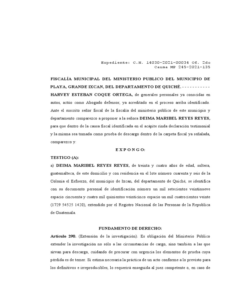 Memorial de Pruebas de Descargo | PDF | Gobierno | Justicia