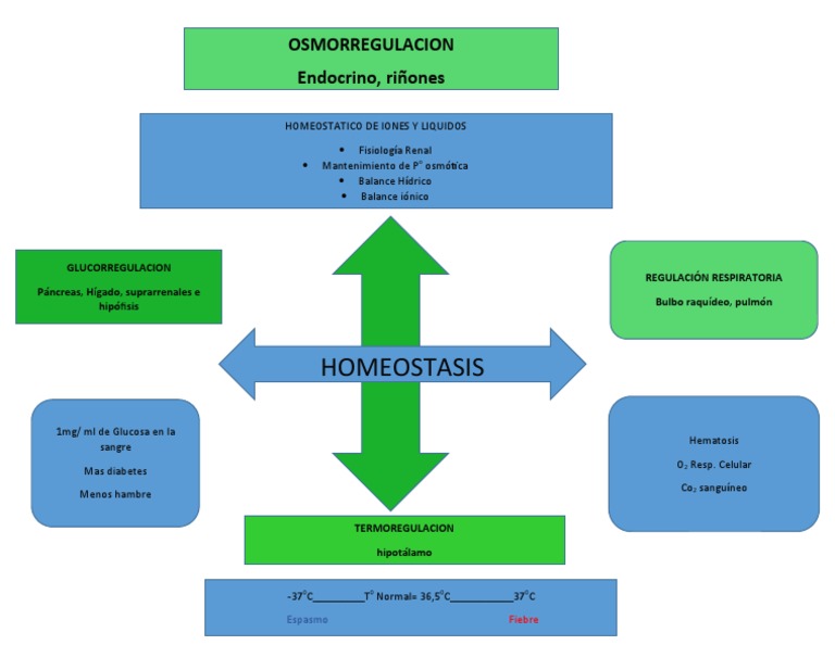 The Physiological Mechanisms that Maintain Homeostasis: Osmoregulation ...