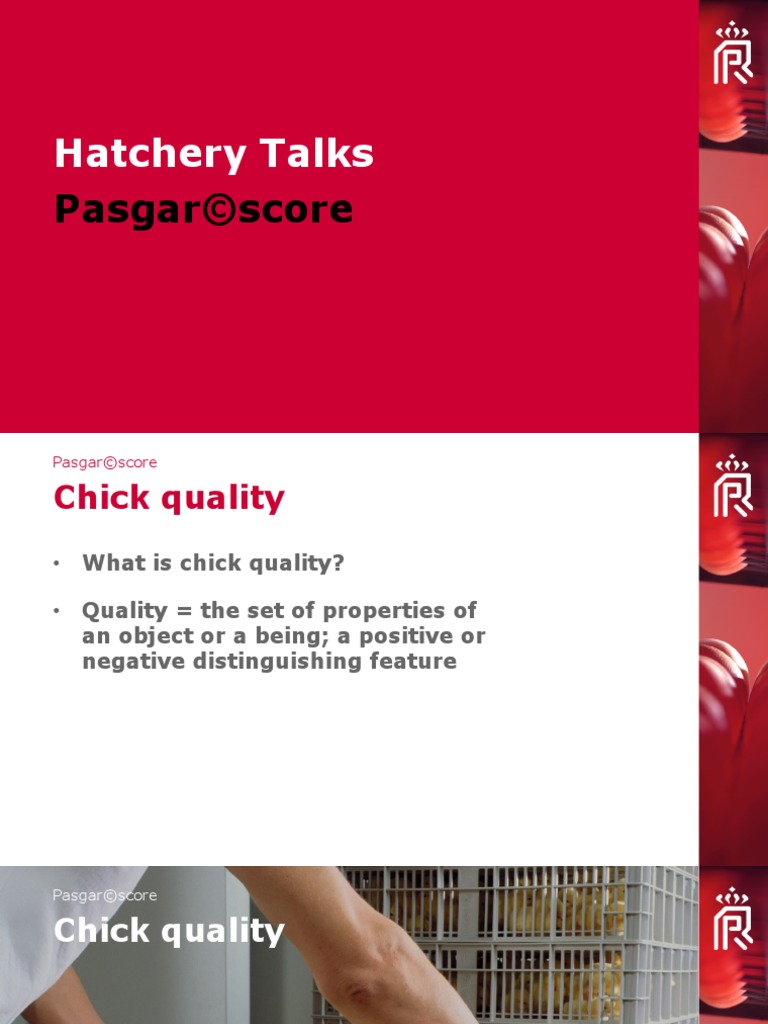 Webinar Evaluating Chick Quality With The Pasgar Scoring Method Handout ...