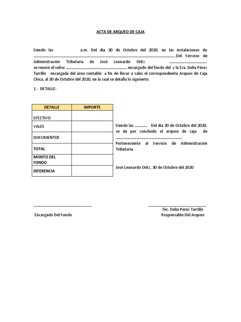 Acta de Arqueo de Caja | PDF