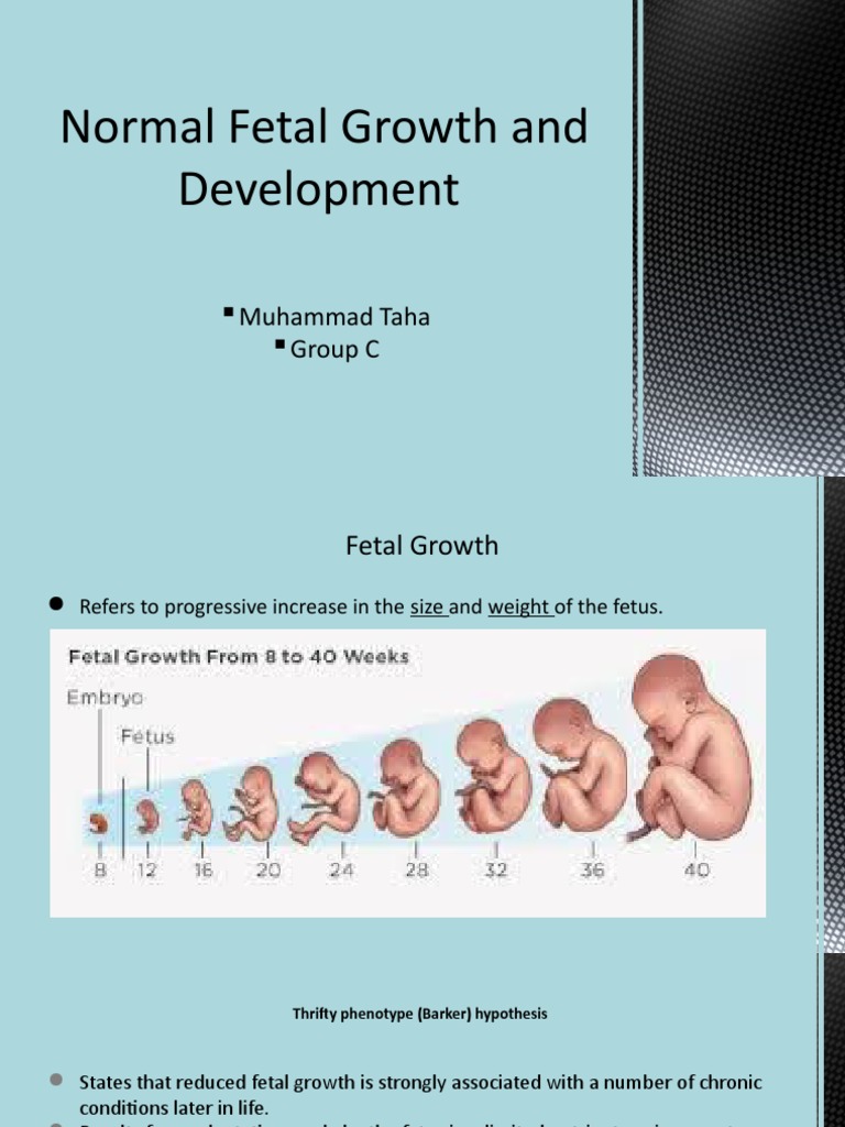 Normal Fetal Growth and Development | PDF | Circulatory System | Fetus