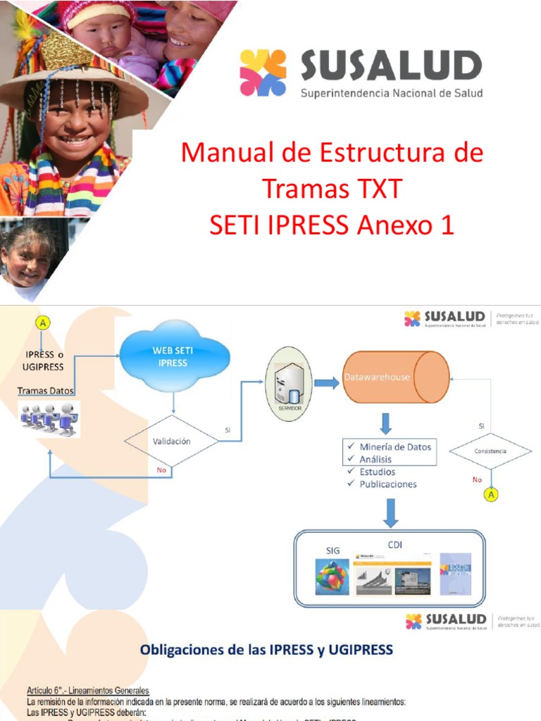 Manual de Estructura Tablas TXT SETI IPRESS Anexo 1 | PDF | Entero | Hospital