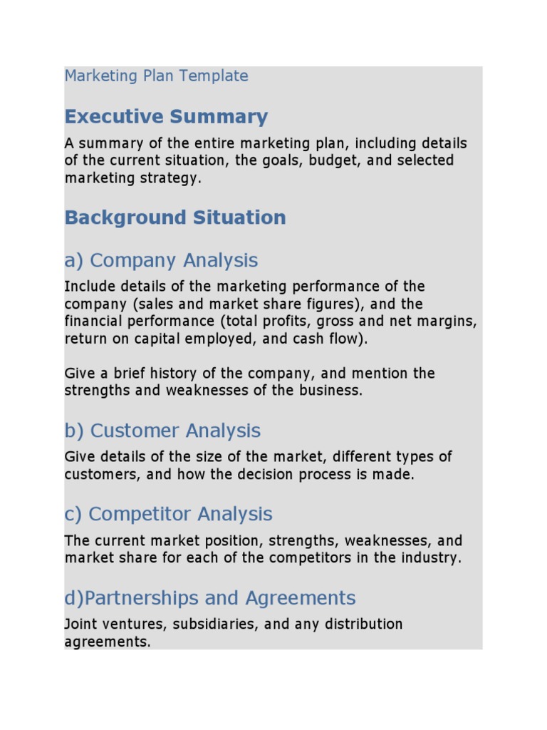 Marketing Plan Template 08 | PDF | Marketing Strategy | Marketing