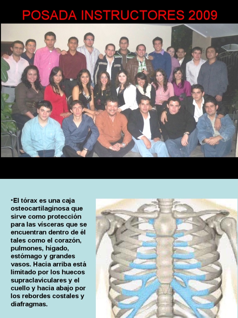 Anatomía y Clasificación del Tórax | PDF | Tórax | Sistema esquelético