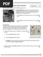 Peppered Moths Natural Selection Game | PDF