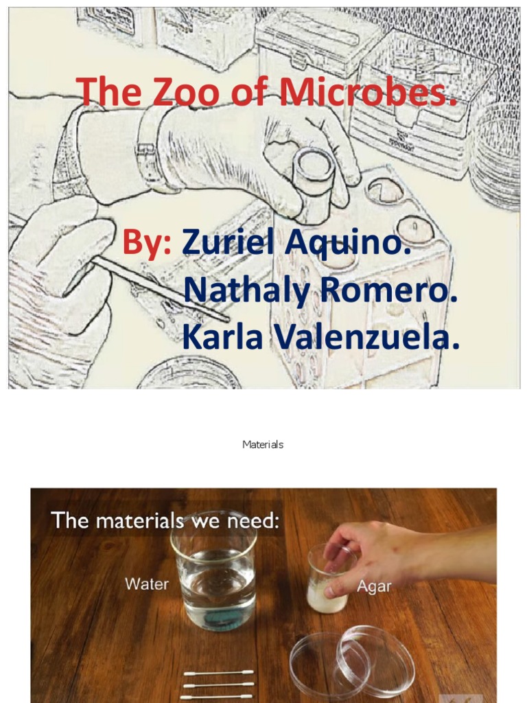 Project The Zoo of Microbes. | Agar | Chemistry