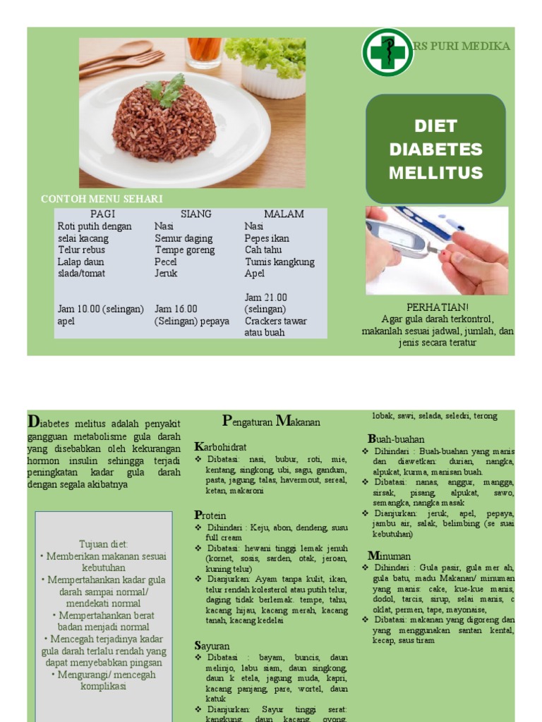 Diet DM | PDF