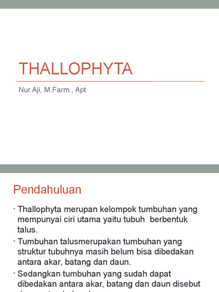 Thallophyta: Algae, Fungi, Lichens | PDF | Griya & Taman | Kesehatan Holistik