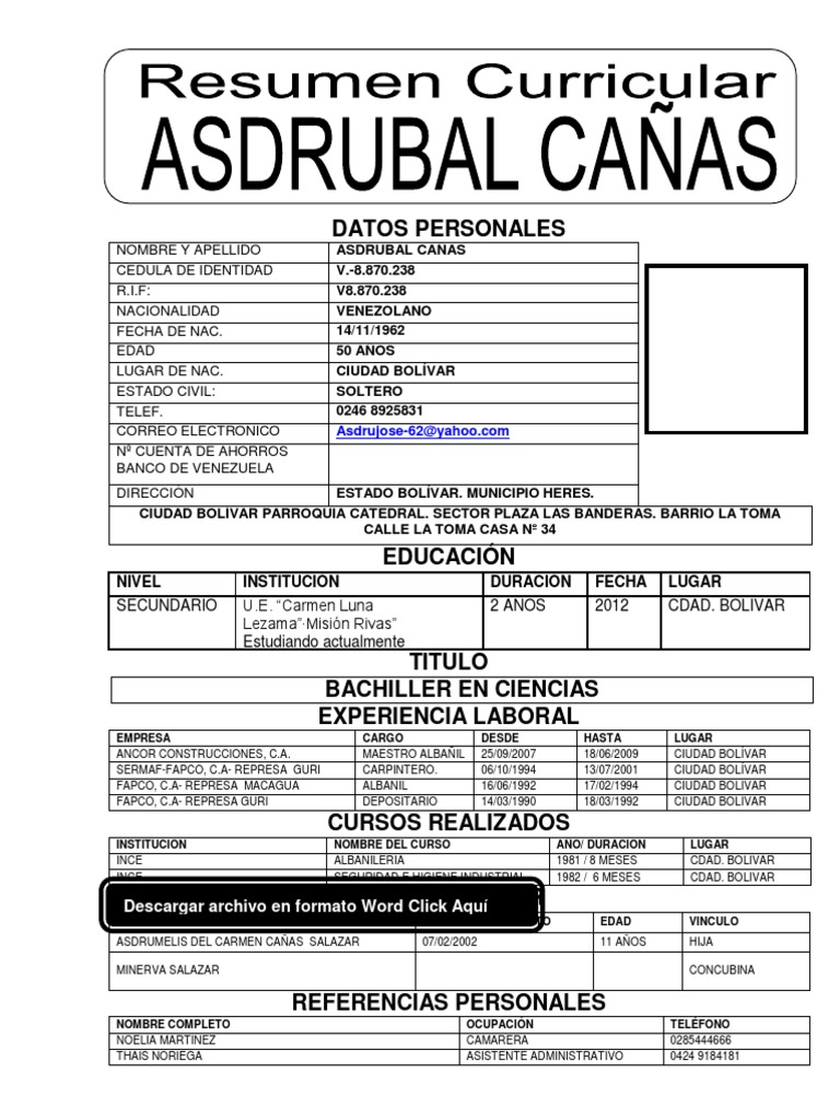 FORMATO MODELO EJEMPLO DE RESUMEN CURRICULAR PARA RELLENARLO