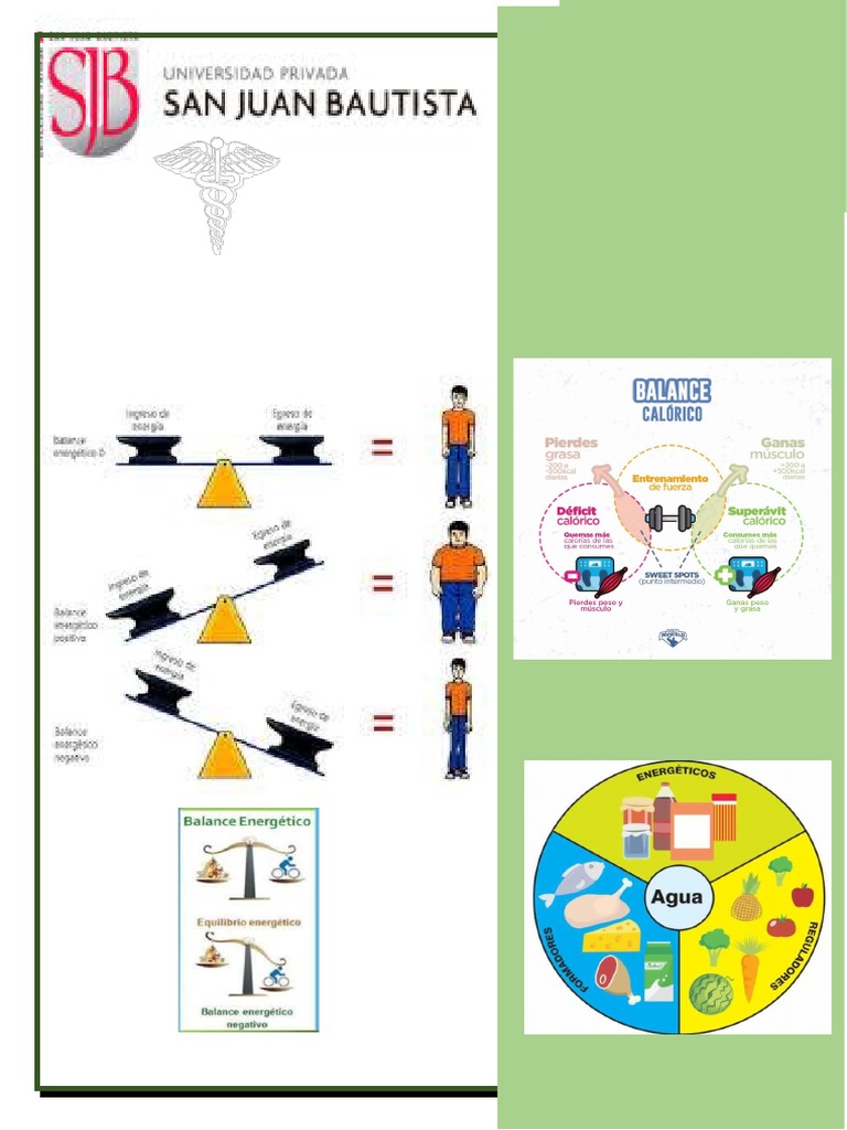 Balance Calórico en Nutrición Clínica | PDF | Nutrientes | Carbohidratos