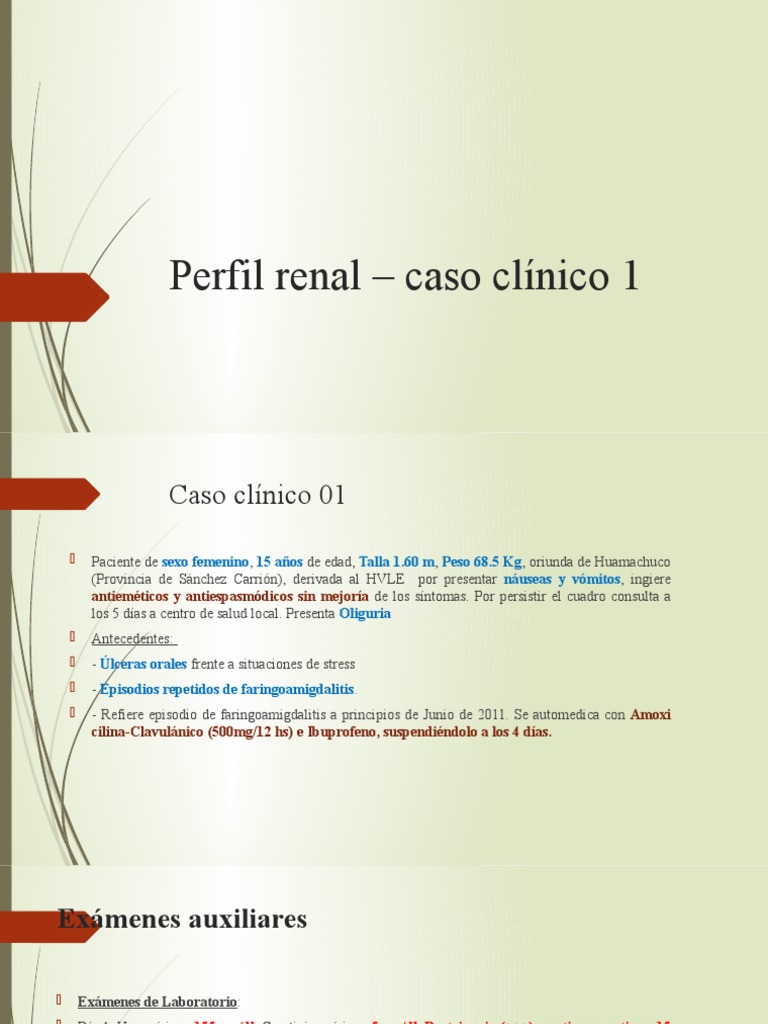Perfil Renal | PDF | Rtt | Especialidades Medicas