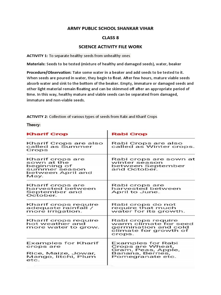 Class 8 Science Activities | PDF