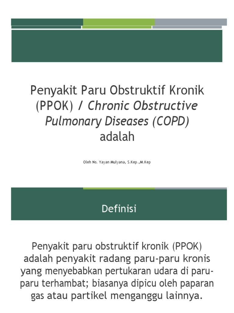 PPOK | PDF
