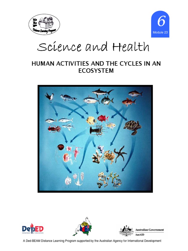 Science 6 DLP 23 Human Activities and The Cycles in An Ecosystem | PDF ...