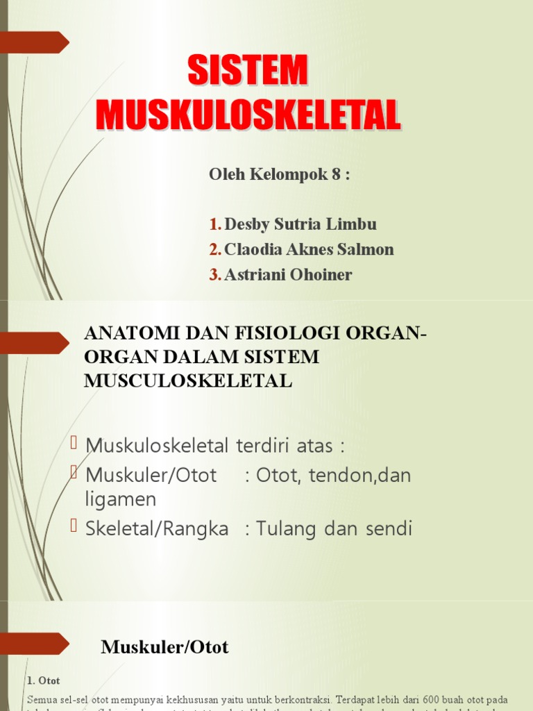 Sistem Muskuloskeletal | PDF