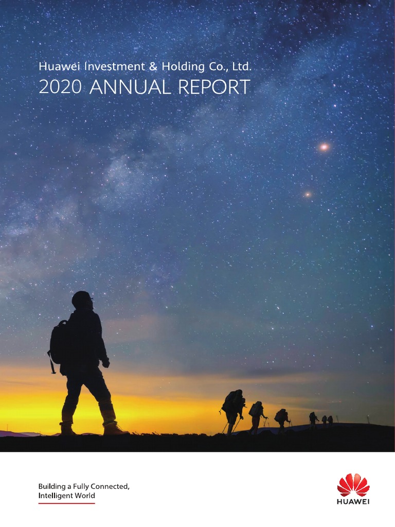 Annual Report 2020 en | PDF | Board Of Directors | Sustainability