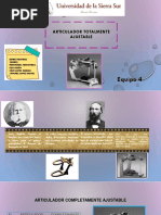 Clasificación de Carl Misch Dianelsty | PDF