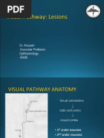 Visual Pathway | PDF | Visual System | Cerebral Cortex