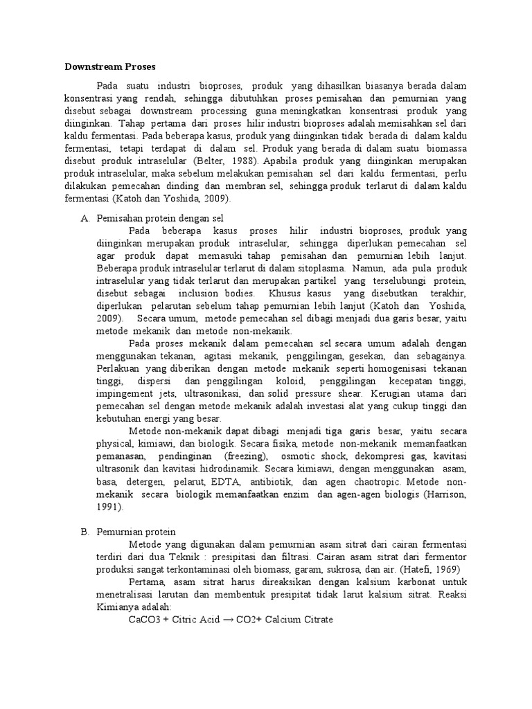 Downstream Proses | PDF